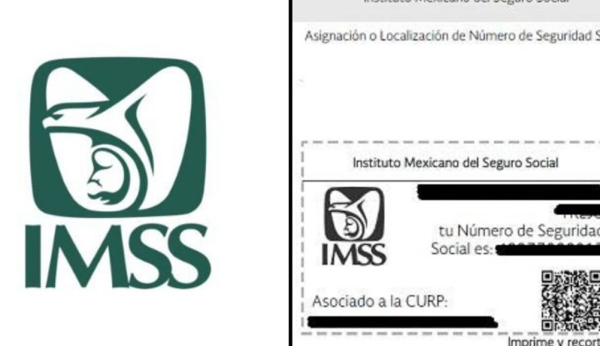Saca Tu Seguro Social: Requisitos Y Pasos A Seguir